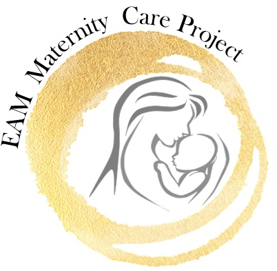 EAM Maternity Care Project Logo | Economic Alliance for Michigan